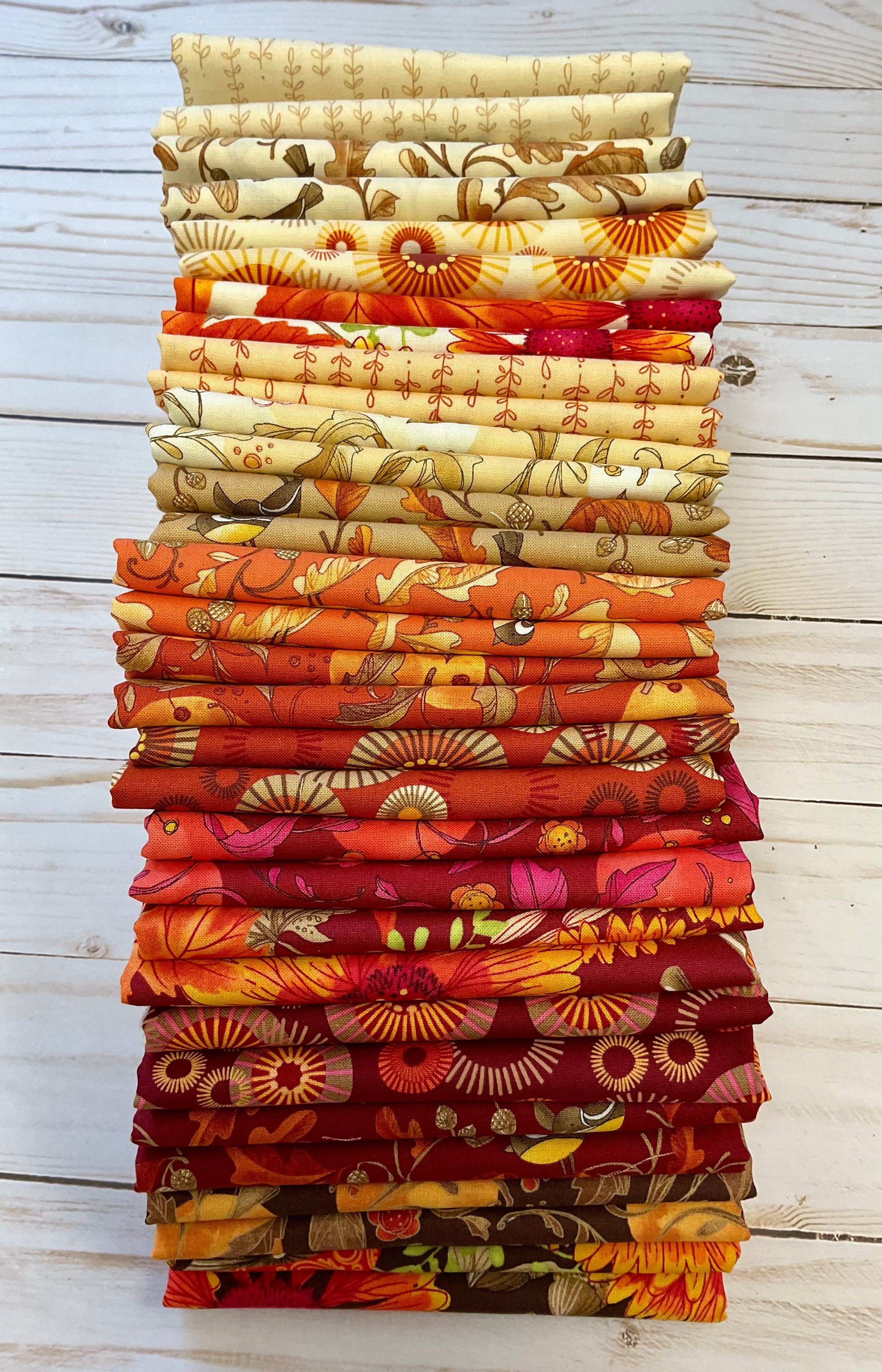 Fall Frolic Half Yard Bundle (16) Curated – Robin Pickens