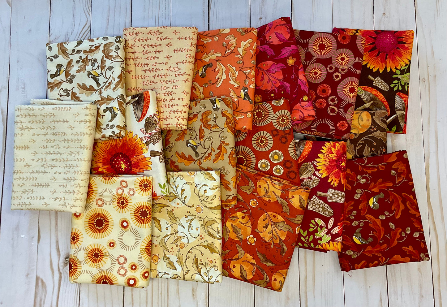 Fall Frolic Half Yard Bundle (16) Curated – Robin Pickens