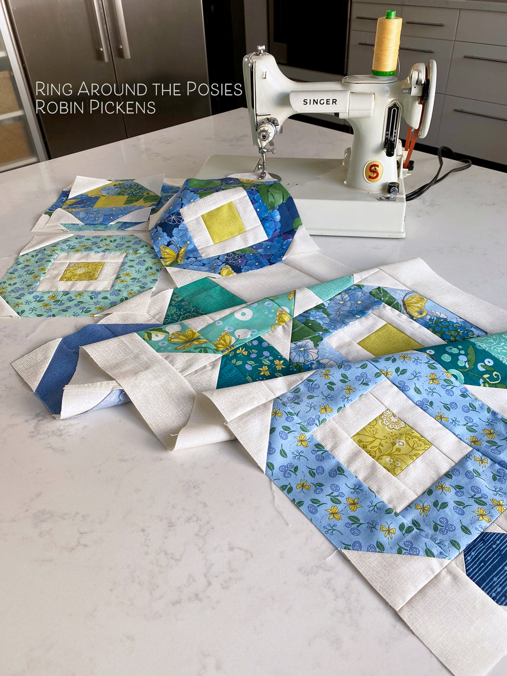 RING AROUND THE POSIES Quilt Pattern, digital download for 64 1/2 x 64 ...